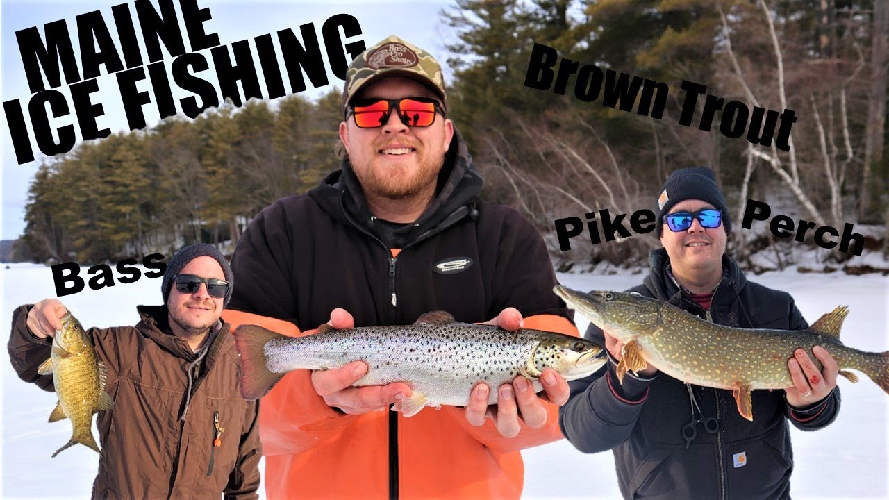 Ice Fishing for Brown Trout, Pike, Bass and White Perch on Wilson pond ...