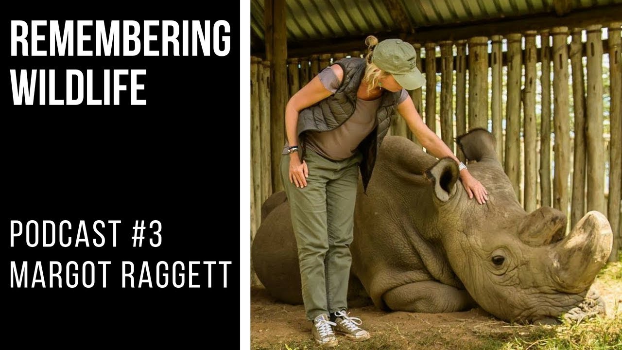 PODCAST #3: Margot Raggett - Remembering Wildlife - YouTube