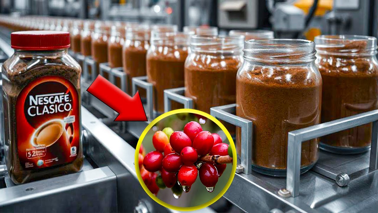 COMO se HACE el CAFÉ de NESCAFÉ | PRODUCCIÓN del CAFÉ INSTANTÁNEO - YouTube