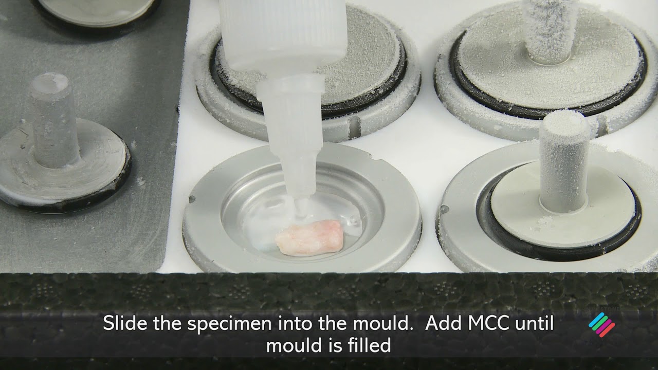 PrestoCHILL: How to freeze breast and fatty tissue - YouTube