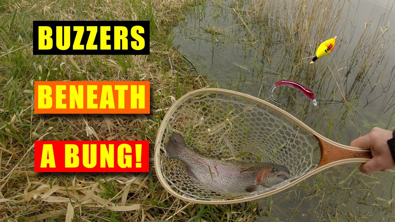 Buzzer Fishing for Trout under a bung - YouTube