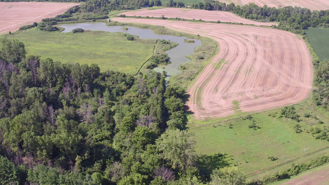Fingal Wildlife Management Area 2018, Courtesy of Kettle Creek ...
