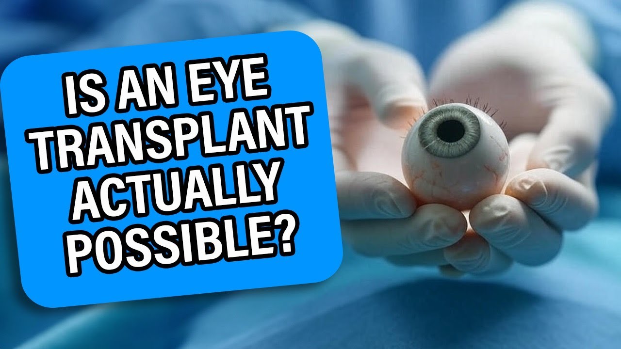 Is an Eye Transplant Actually Possible? | Glauc Talk - YouTube