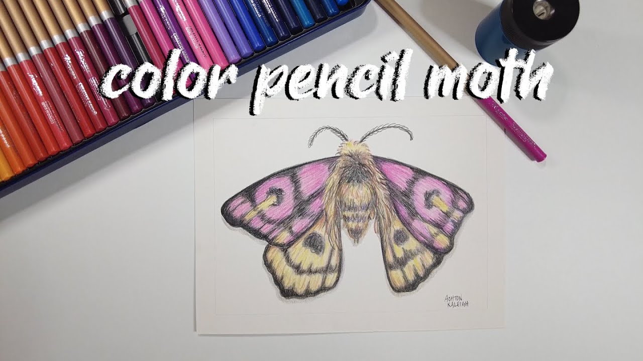 Color Pencil Moth | Cezanne Color Pencil Demo & Moth Symbolism - YouTube