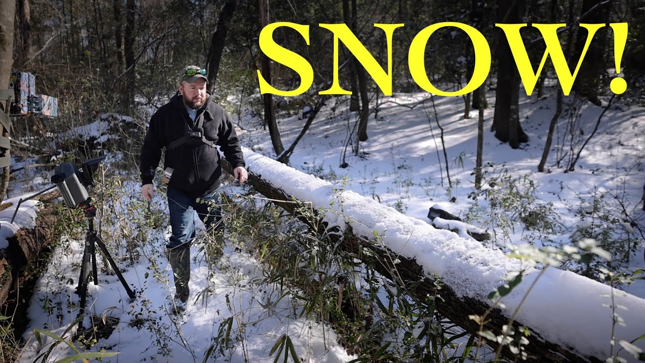 Checking Camera Traps in the Snow! - YouTube