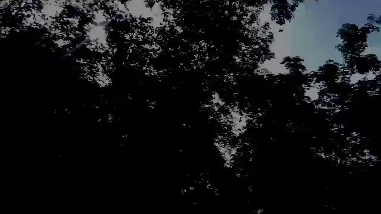 Horror "Hantu Hutan Bedegeng" part1 - YouTube