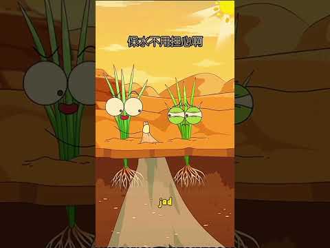 Animasi hidup Padi - YouTube