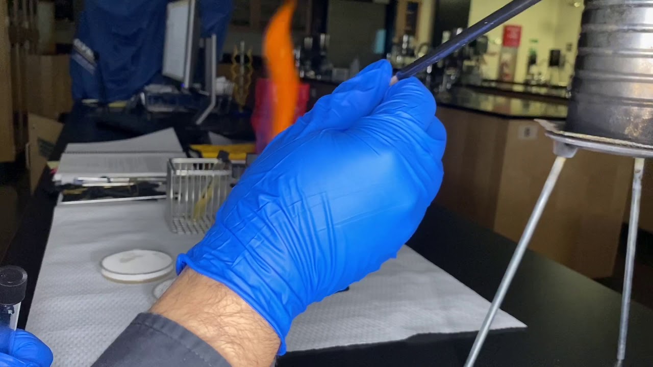 Laboratory: Aseptic Technique Transfer - YouTube