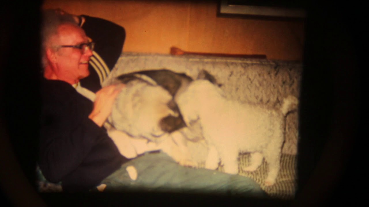 Dapper wearing letter sweater with Sonja & Dixie playing on couch - YouTube