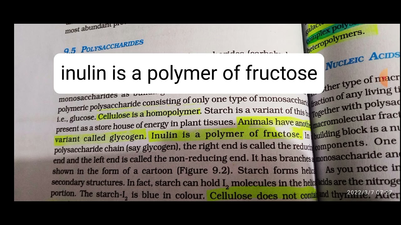 inulin is a polymer of fructose - YouTube