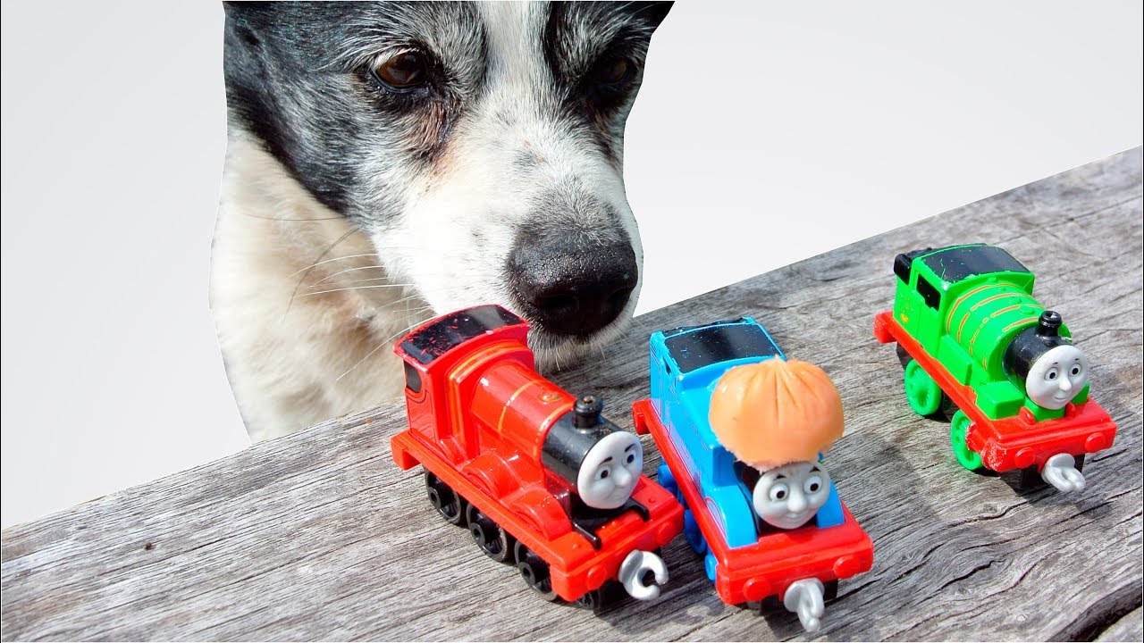 Thomas and Friends feed Animals ⛅ Mister Toys - YouTube