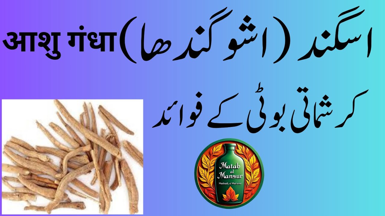 Unlock the Power of Asgand | Transform Your Life with Ashwagandha - YouTube