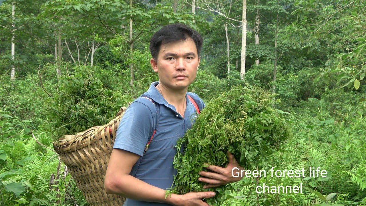 Picking wild vegetables to cook and sell to earn money. Robert | Green ...