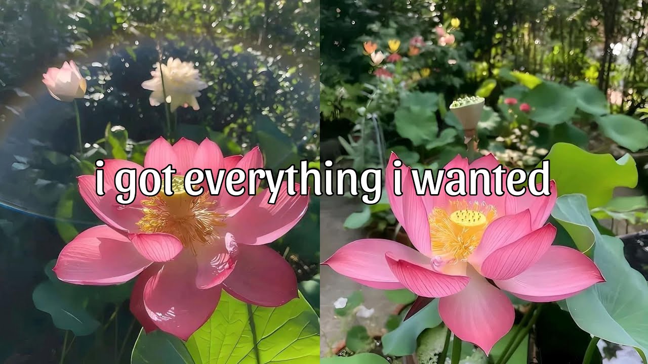 i got everything i wanted - YouTube