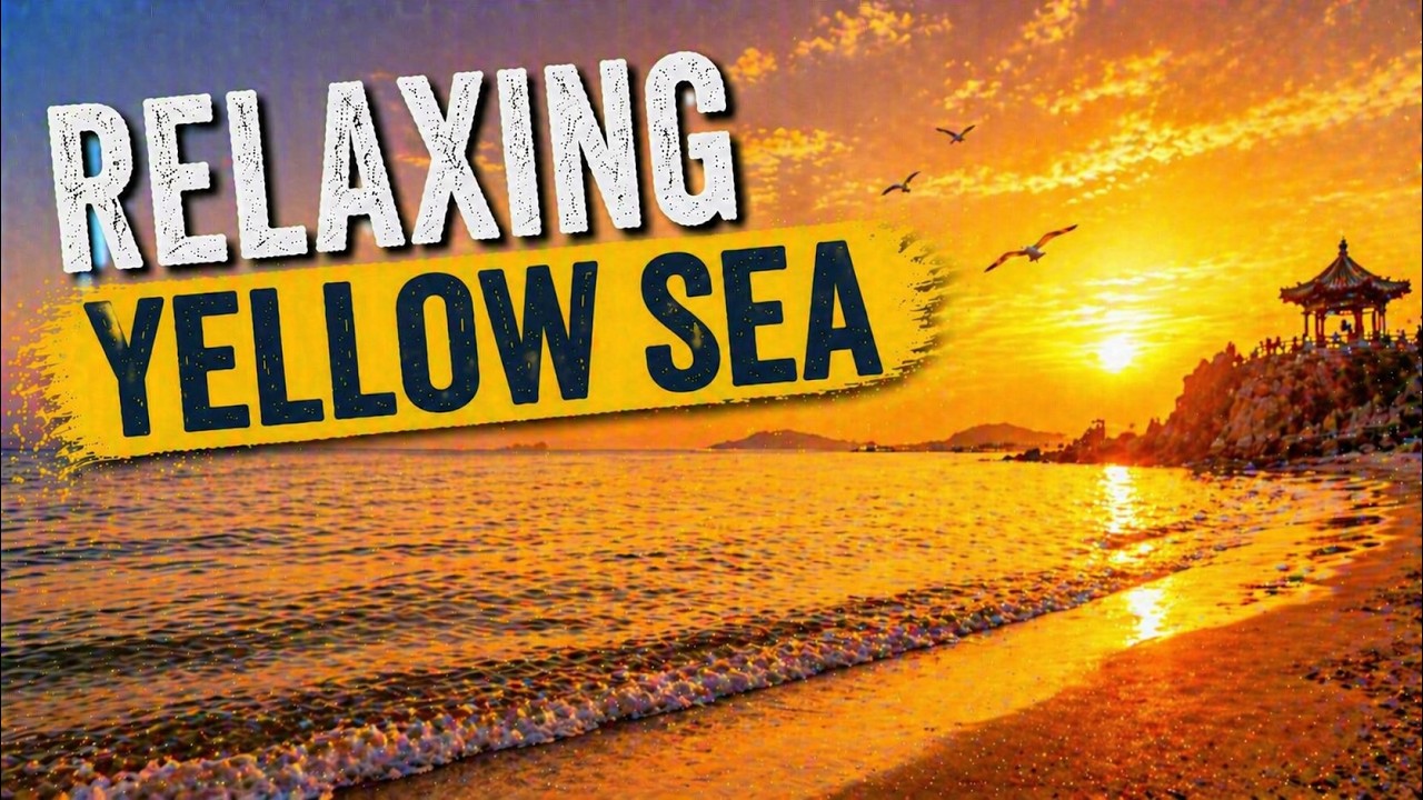 Relaxing Sea Video | Waves | Qingdao Phoenix Park | Beautiful Places in ...