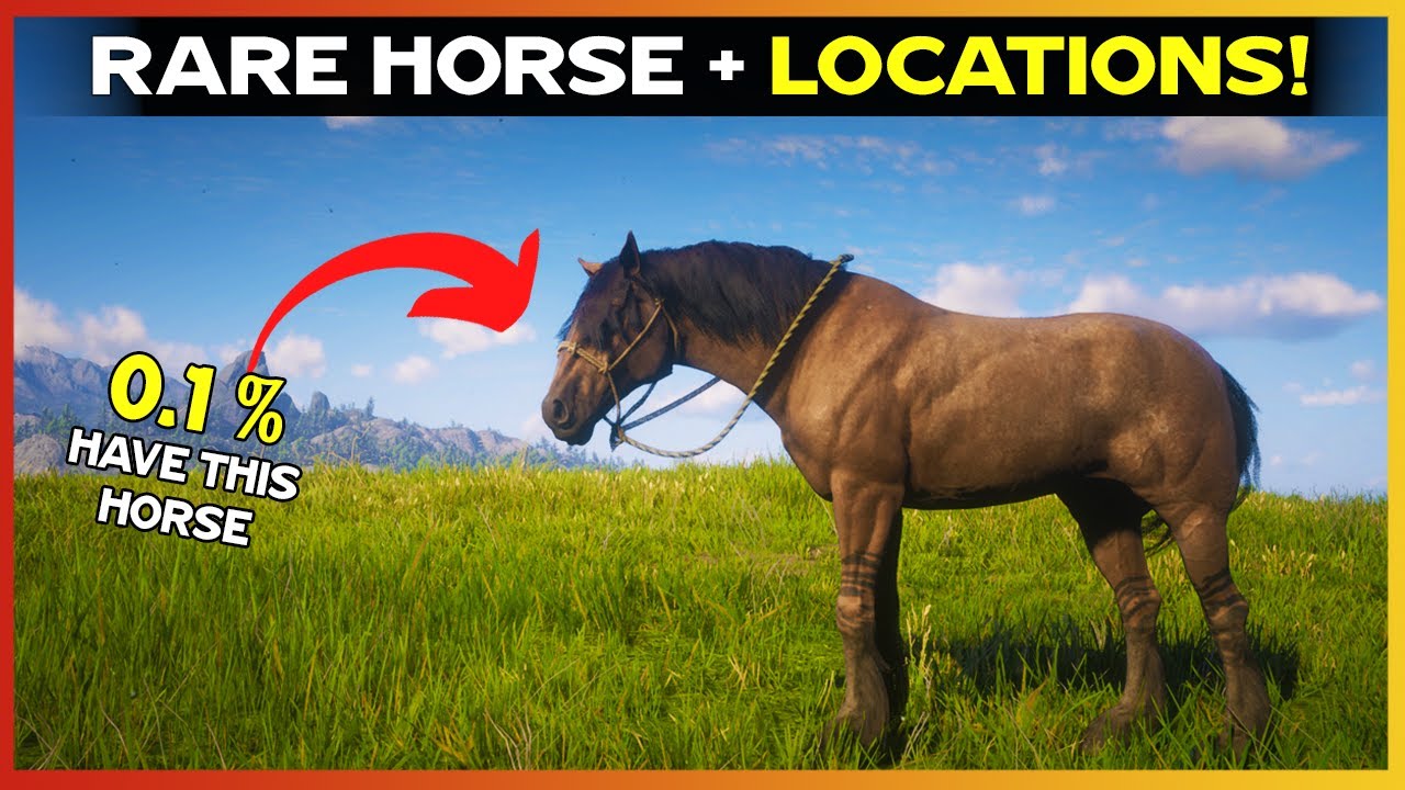 Get Extremely Rare Mustang with Locations - RDR2 - YouTube