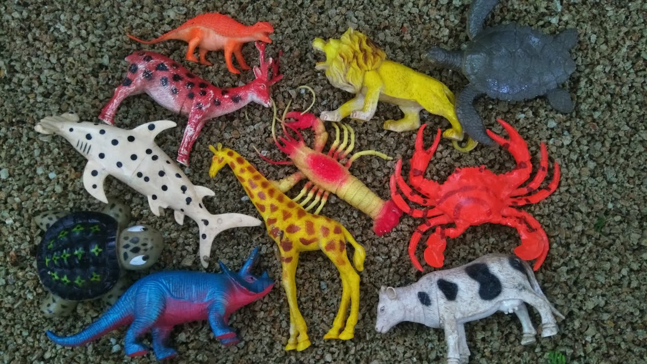 Mencari Mainan Baby monkey monpai, lobster, jerapah, singa, kepiting ...