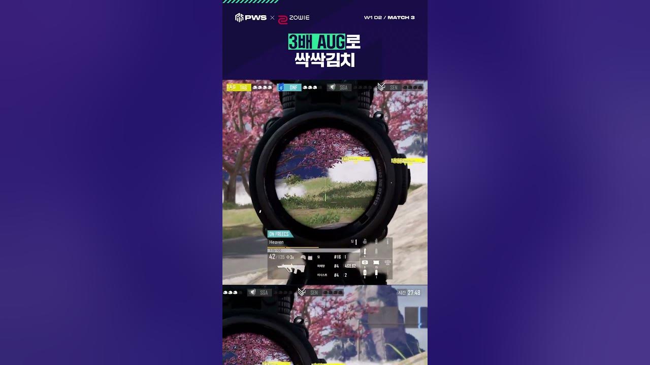 3:4도 문제 없어, DNF ⎮ 2025 PWS [배틀그라운드] [배그] - YouTube