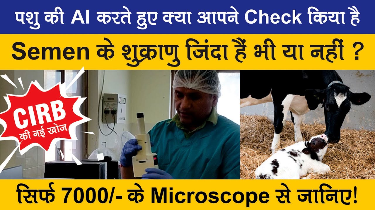 पशु की AI करते हुए क्या आपने Check किया है, Semen के शुक्राणु जिंदा हैं ...