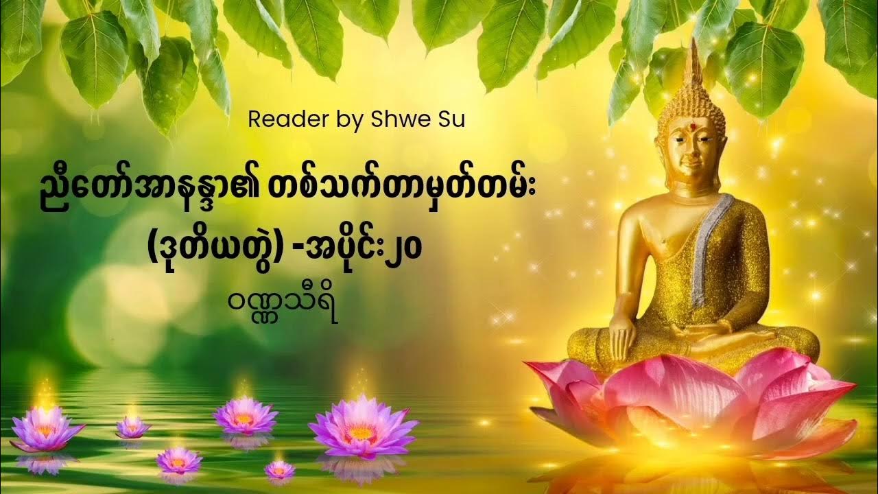 လူ၀တ်ကြောင် ဓမ္မကထိက ညီတော်အာနန္ဒာ၏ တစ်သက်တာမှတ်တမ်း ဒုတိယတွဲ