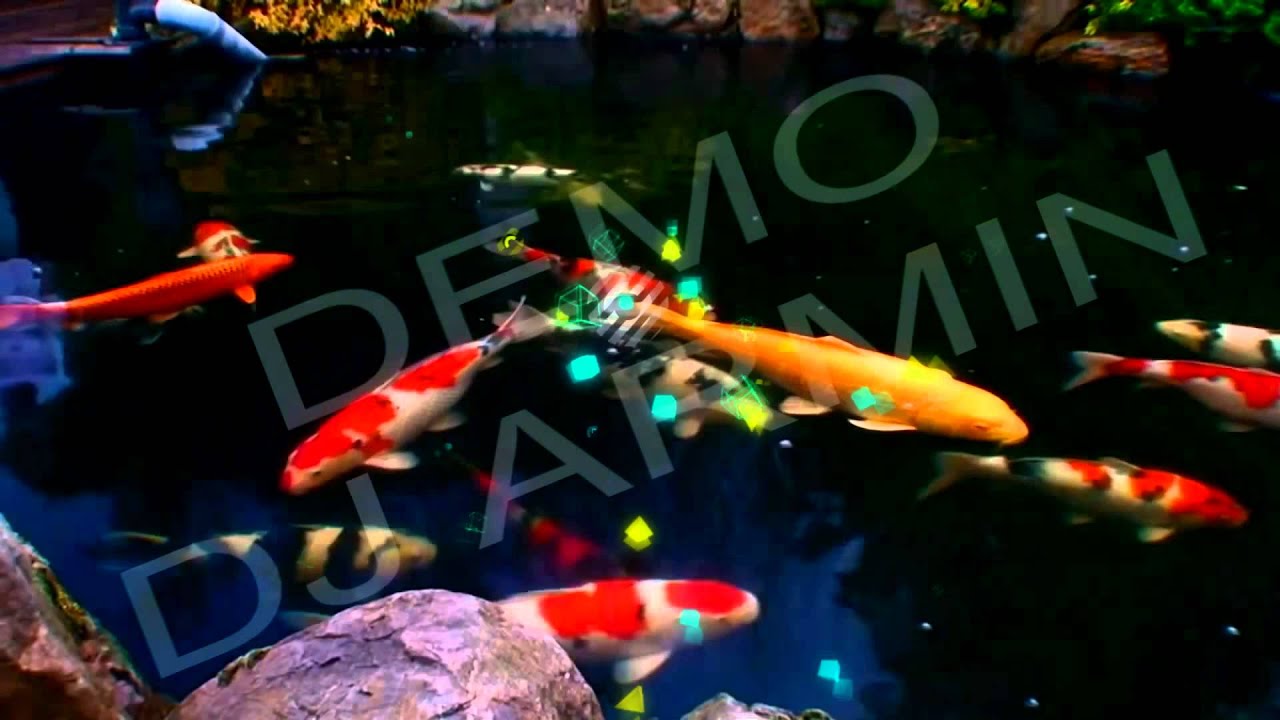 koi DEMO - YouTube