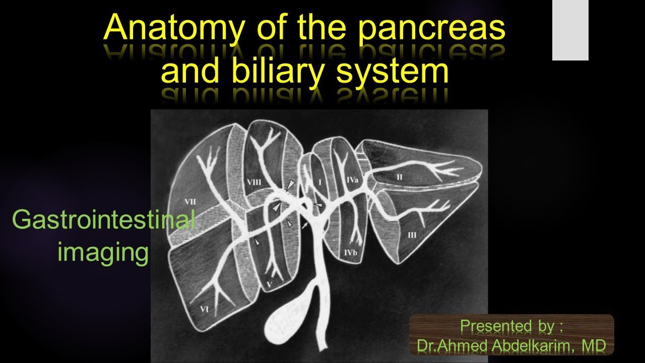 2-Anatomy of the pancreas and biliary system - YouTube