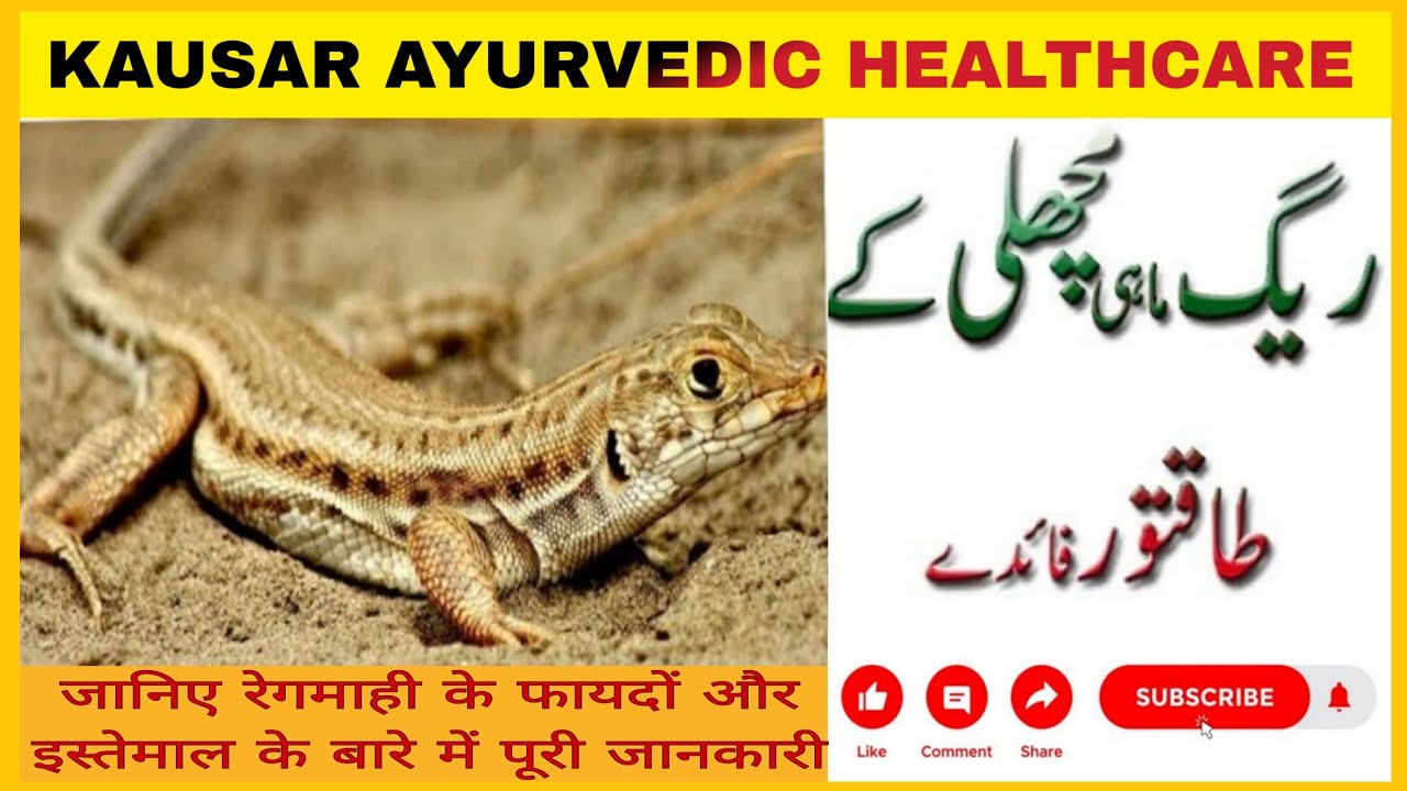 Regmahi Ayurvedic Benefits, Uses, & Side Effects Explained | Kausar ...