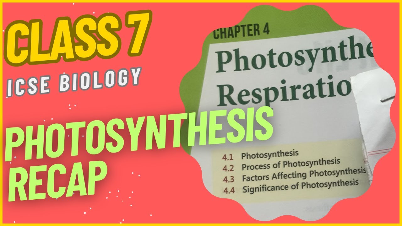 CLASS 7 Recap Tutorial: Photosynthesis and Respiration in plants || Biology || ICSE - YouTube