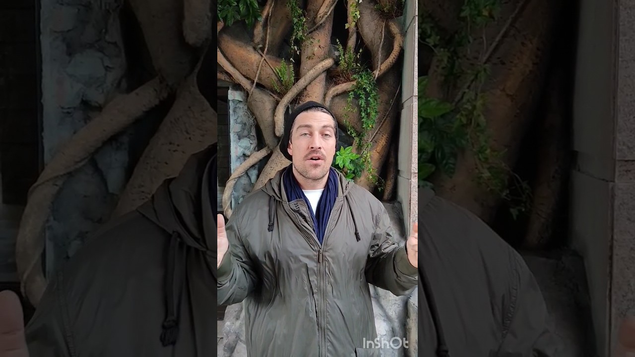 Viendo animales en VigoZoo. #animals #animal - YouTube