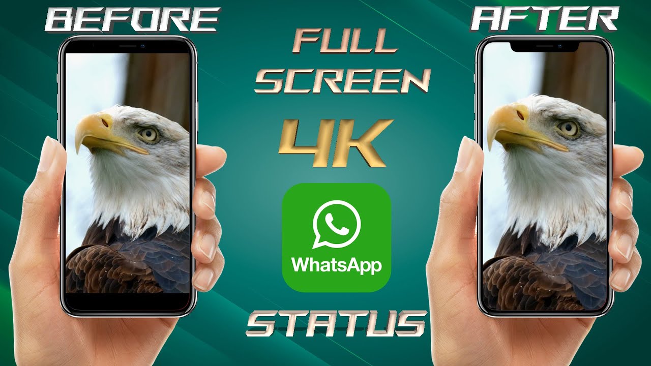 How To Make 4K Full Screen WhatsApp Video Status | With Proof - YouTube