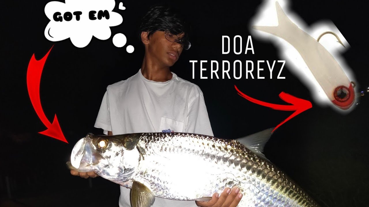 Monster Tarpon and Snook Fishing with DOA TERROREYZ + Van Staal vs200 ...