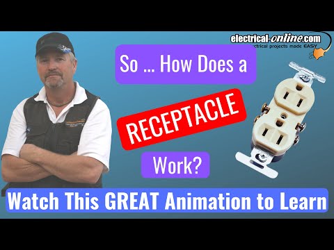 Receptacle Animation - YouTube