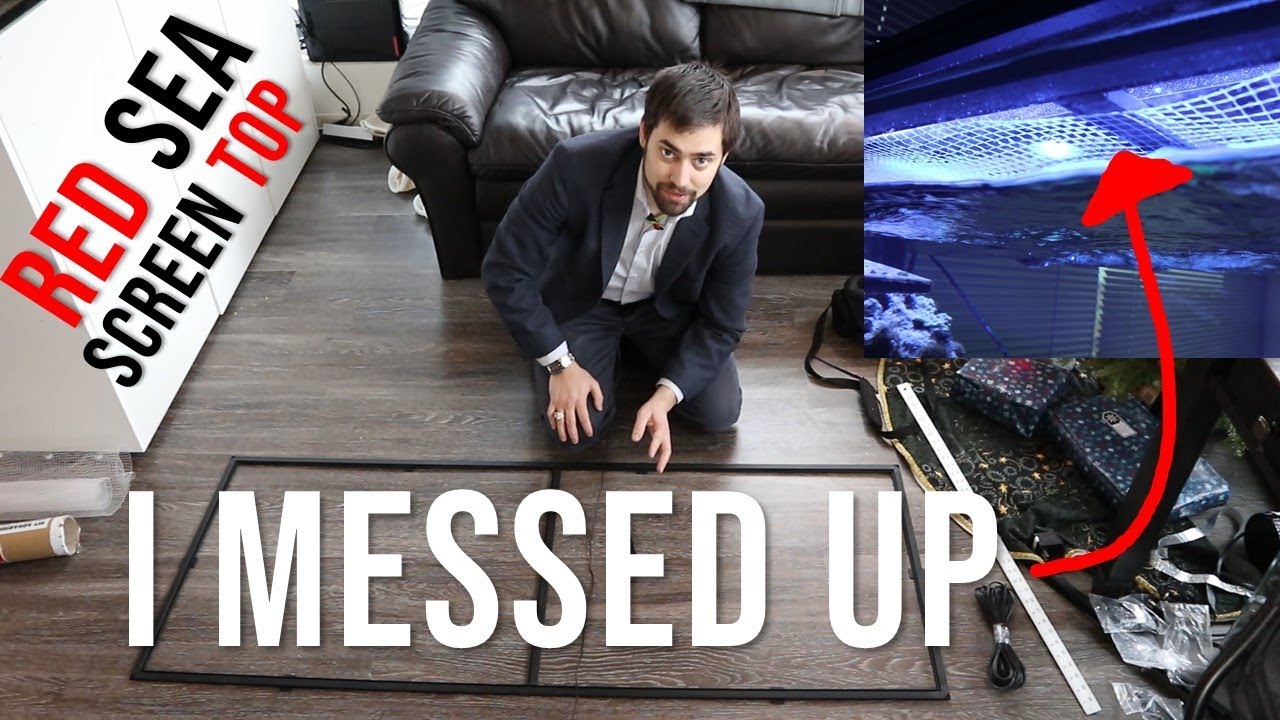 🤔 Red Sea Screen Cover - Is it worth it? (DIY Tutorial and Reivew ...