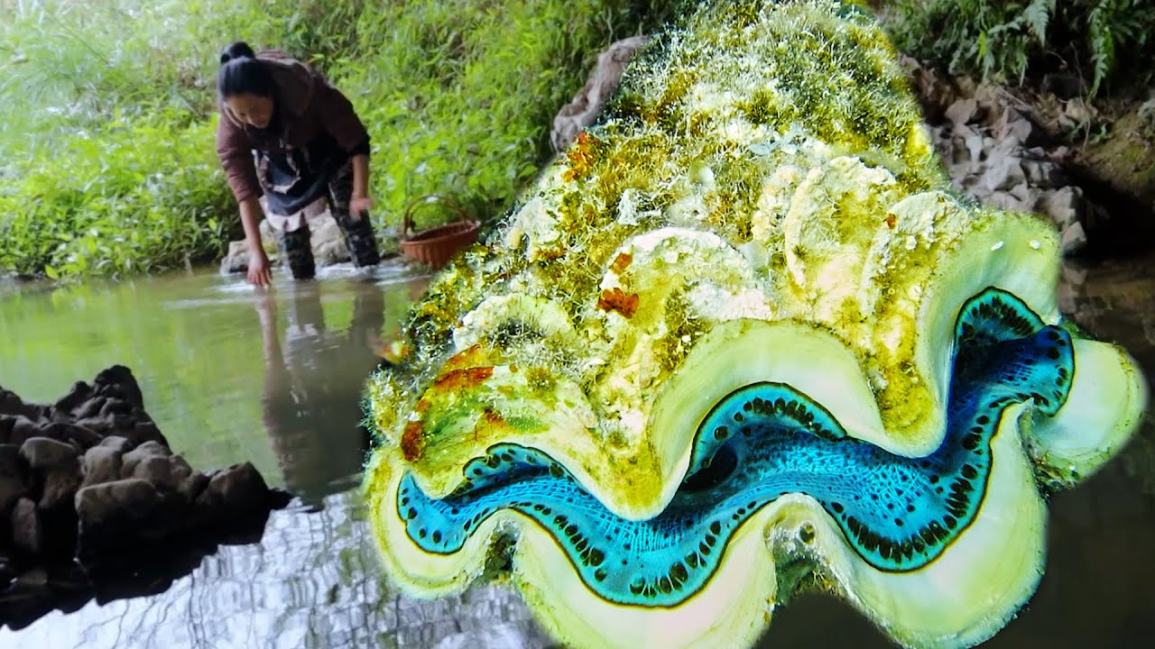 💎🔨 Secret Revealed in the Chaotic Stone Quarry: Pearls Shining in Super ...