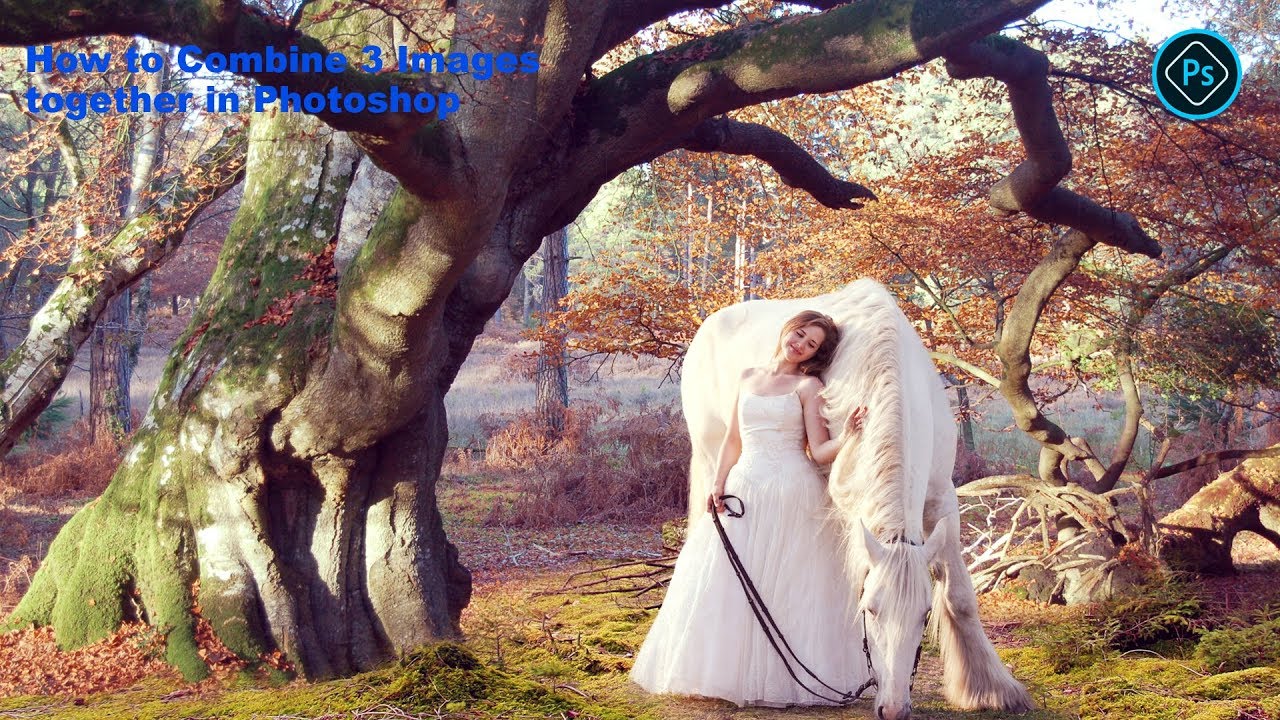 How To Combine 3 Images Together In Photoshop Photoshop Tutorials how-to-combine-3-images-together-in-photoshop-photoshop-tutorials