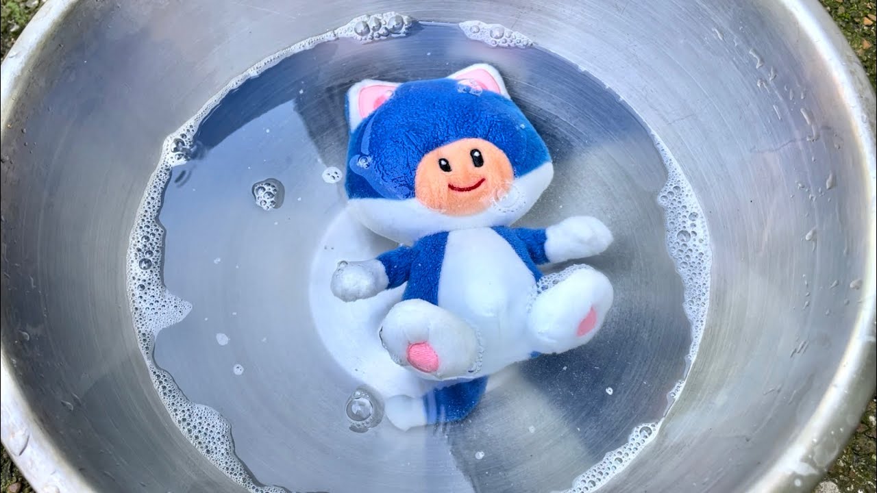 Cat Toad gets baptized - YouTube