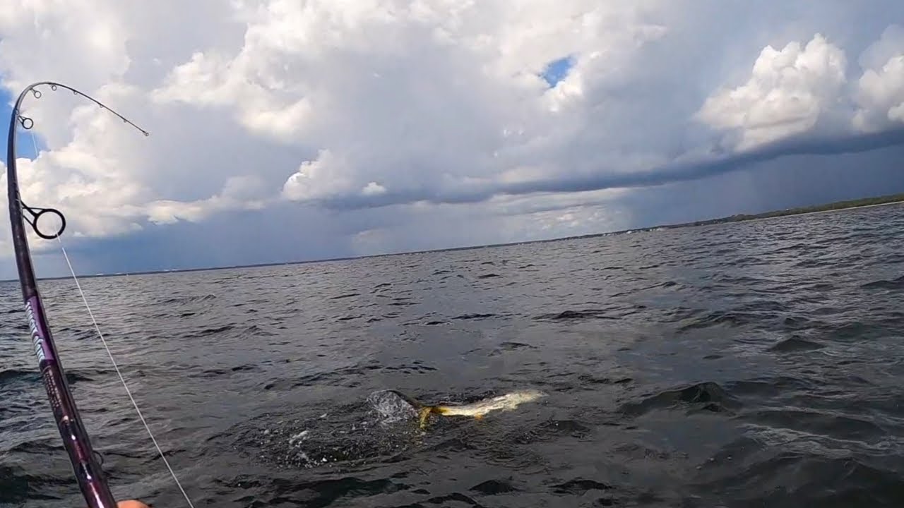 Trolling Choctawhatchee Bay for a Big Bite - YouTube