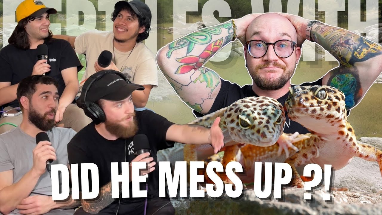 Cohabing Leopard Geckos? Box Turtle Fight, Anaconda Species & MORE ...