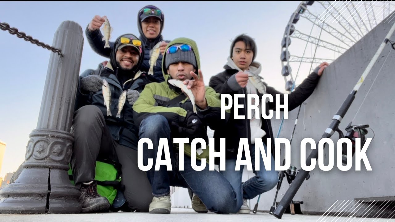 Chicago Perch Catch and Cook - YouTube