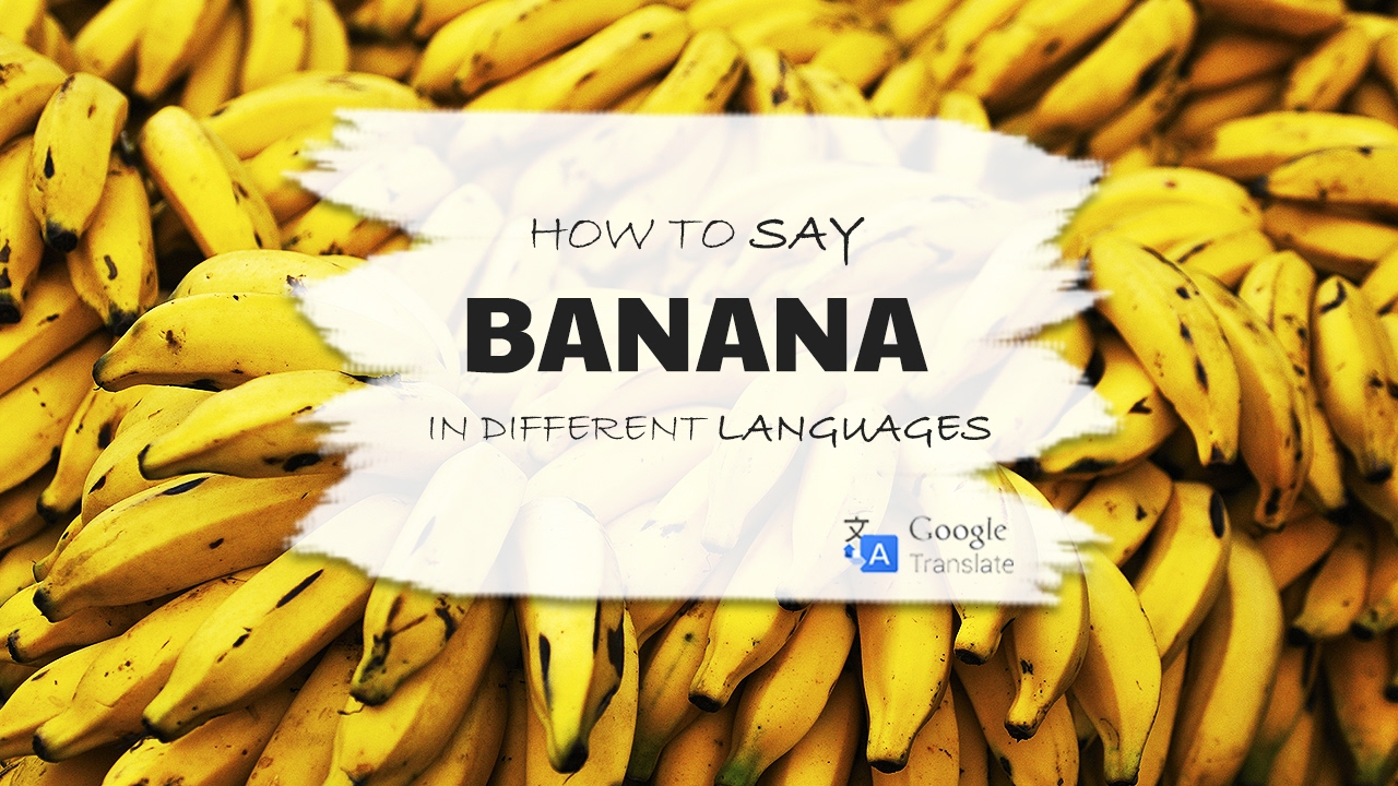 BANANA FRUIT NAMES HOW TO SAY DIFFERENT LANGUAGES YouTube BANANA FRUIT NAMES HOW TO SAY DIFFERENT LANGUAGES YouTube