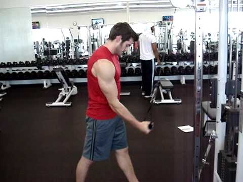 Single Arm Reverse Cable Push Down - YouTube