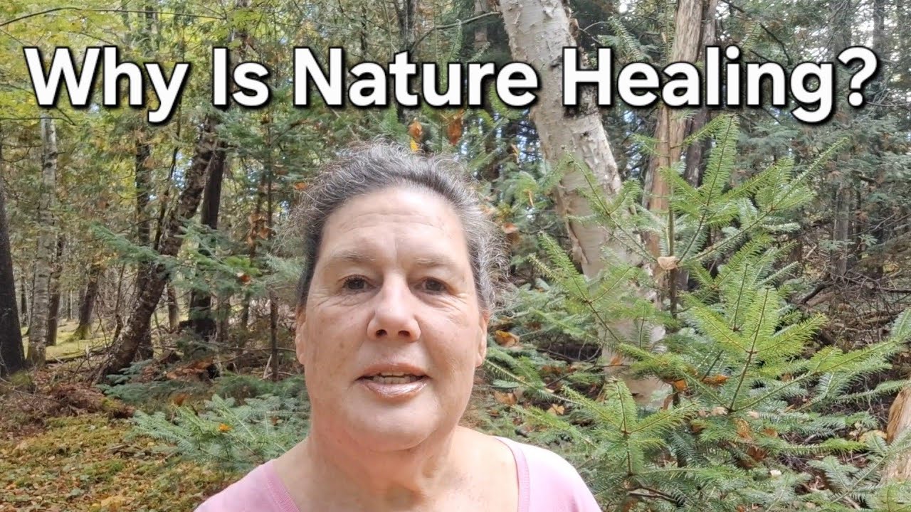 Why Is Nature So Healing? - YouTube