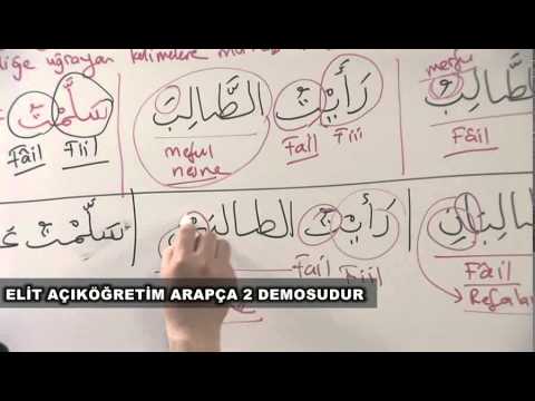 Elit Arapça-2 Görüntülü Eğitim Seti