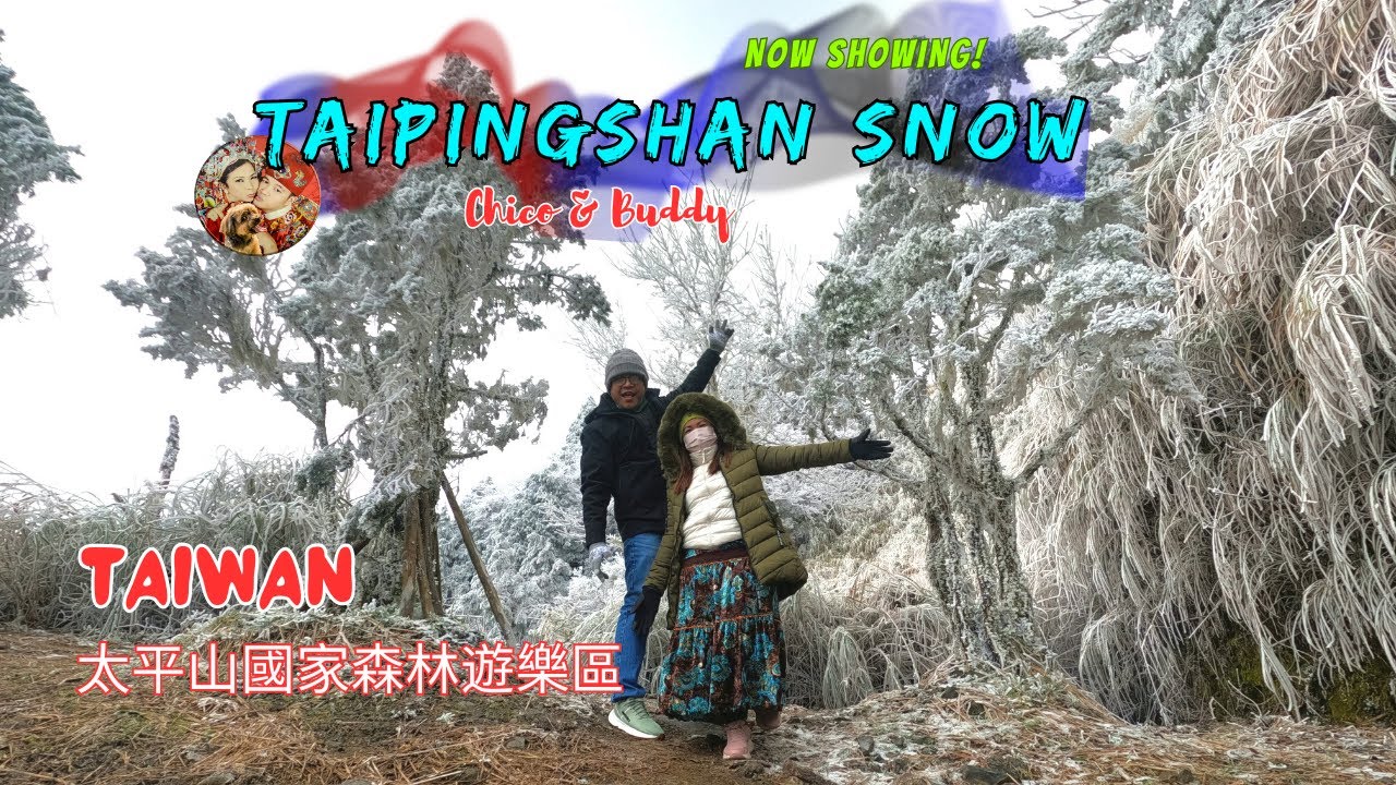 Taipingshan Snow, Taiwan Snow Mountain, drone Shots. Taiwan Travel Vlog ...