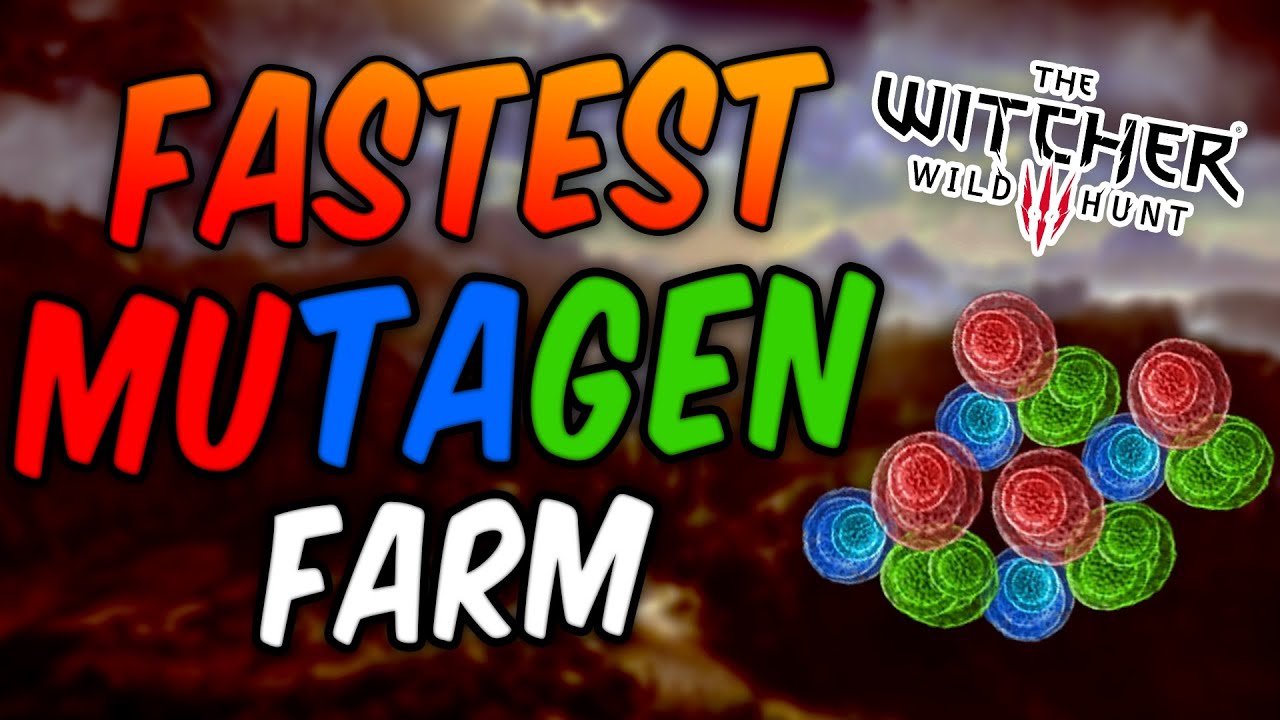 Witcher 3 Next Gen FASTEST MUTAGEN Farm (RED, GREEN & BLUE) - YouTube