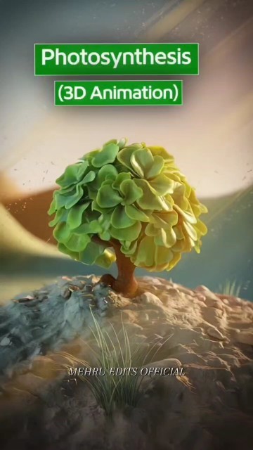 3D animation of photosynthesis | Photosynthesis kaise hoti hai | ⚡🤯 # ...