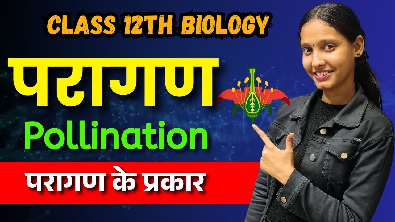What is pollination? Pollination - Sexual Reproduction in Flowering ...