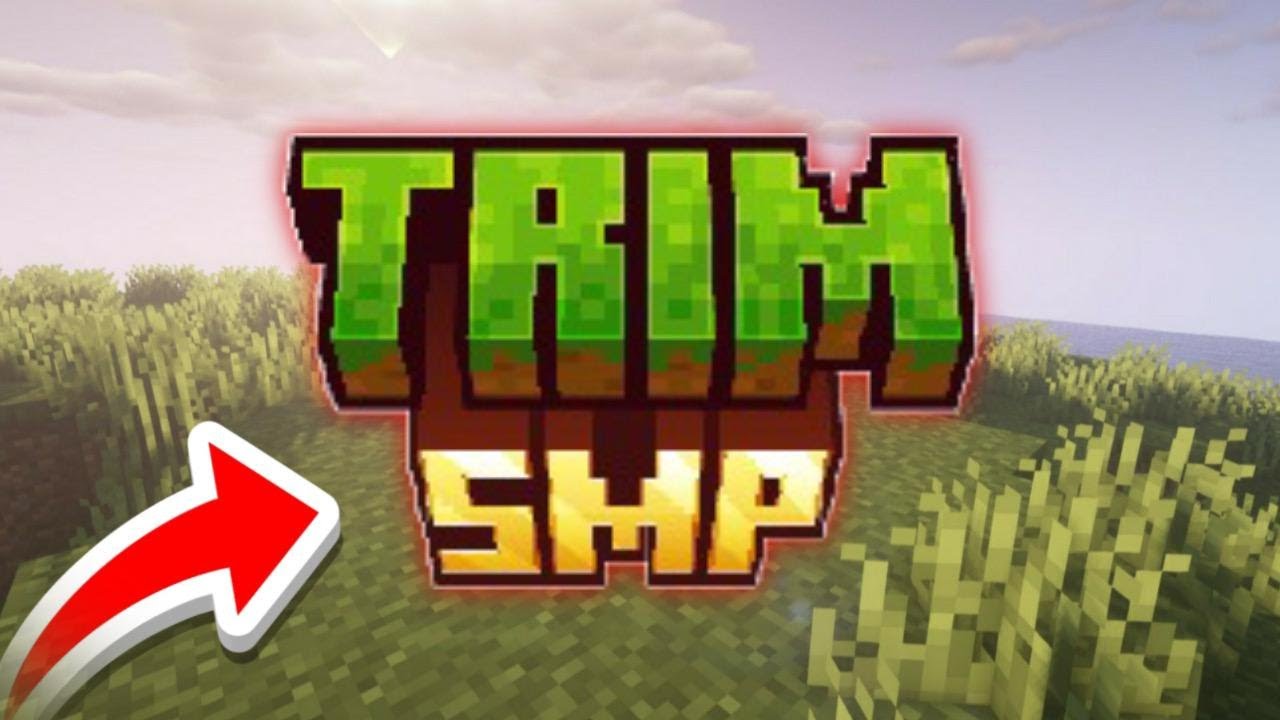představuji vám TRIM SMP..... - YouTube