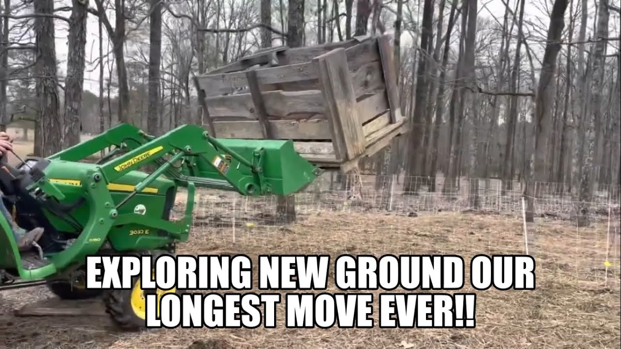 Exploring New Ground Our Longest Move Ever!! #pasturedpigs - YouTube