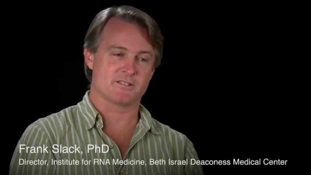 Organizer Interview: Frank Slack Interview - YouTube